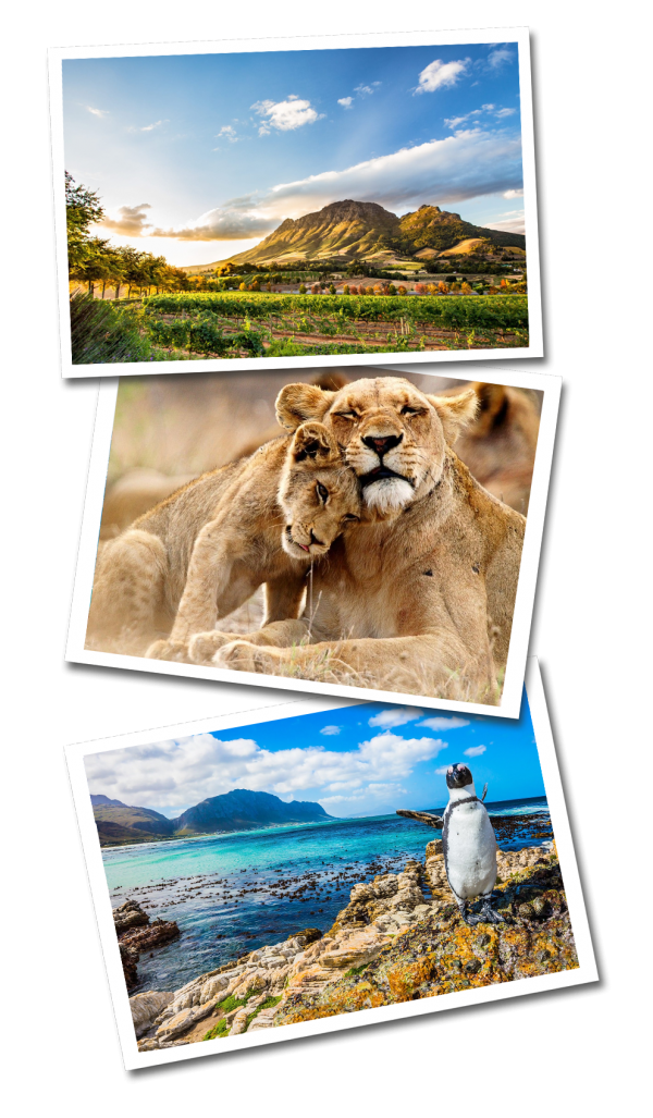 Travel South Africa • Africa | She is Wanderlust travel blog