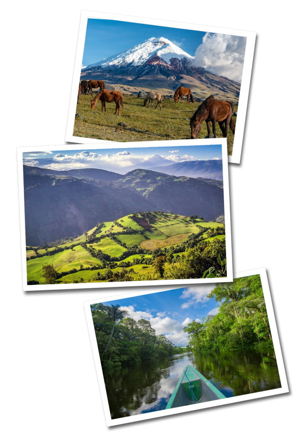 Travel Ecuador • South America | She is Wanderlust Travel Blog