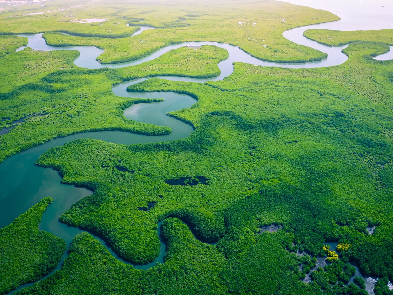Travel Gambia • Africa | She is Wanderlust Travel Blog