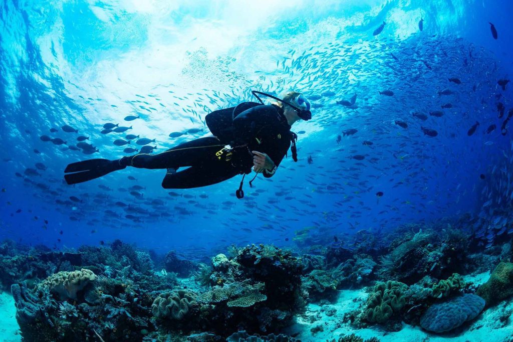 Snorkel Andros Great Barrier Reef | The Bahamas | She is Wanderlust