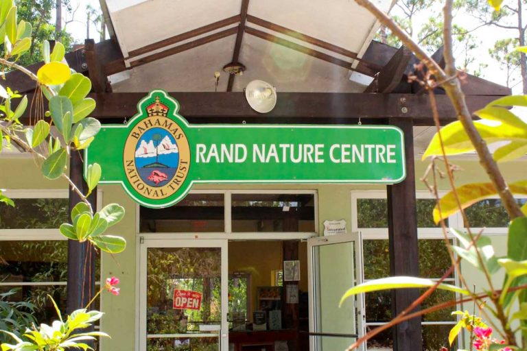 Rand Nature Centre: A Quiet Look at Bahamian Flora and Birdlife