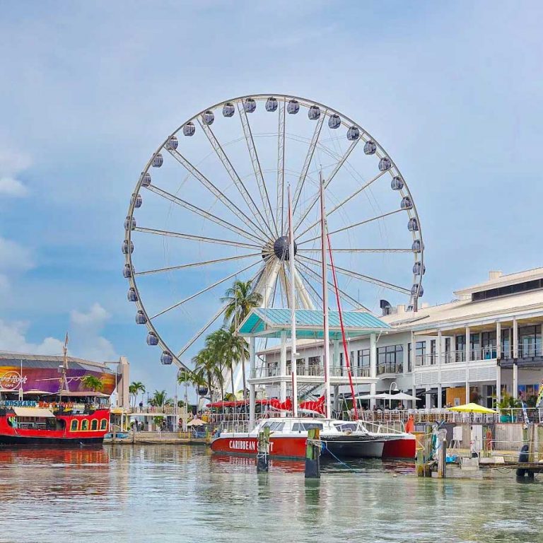 Skyviews Miami Observation Wheel | Elevated views of Miami